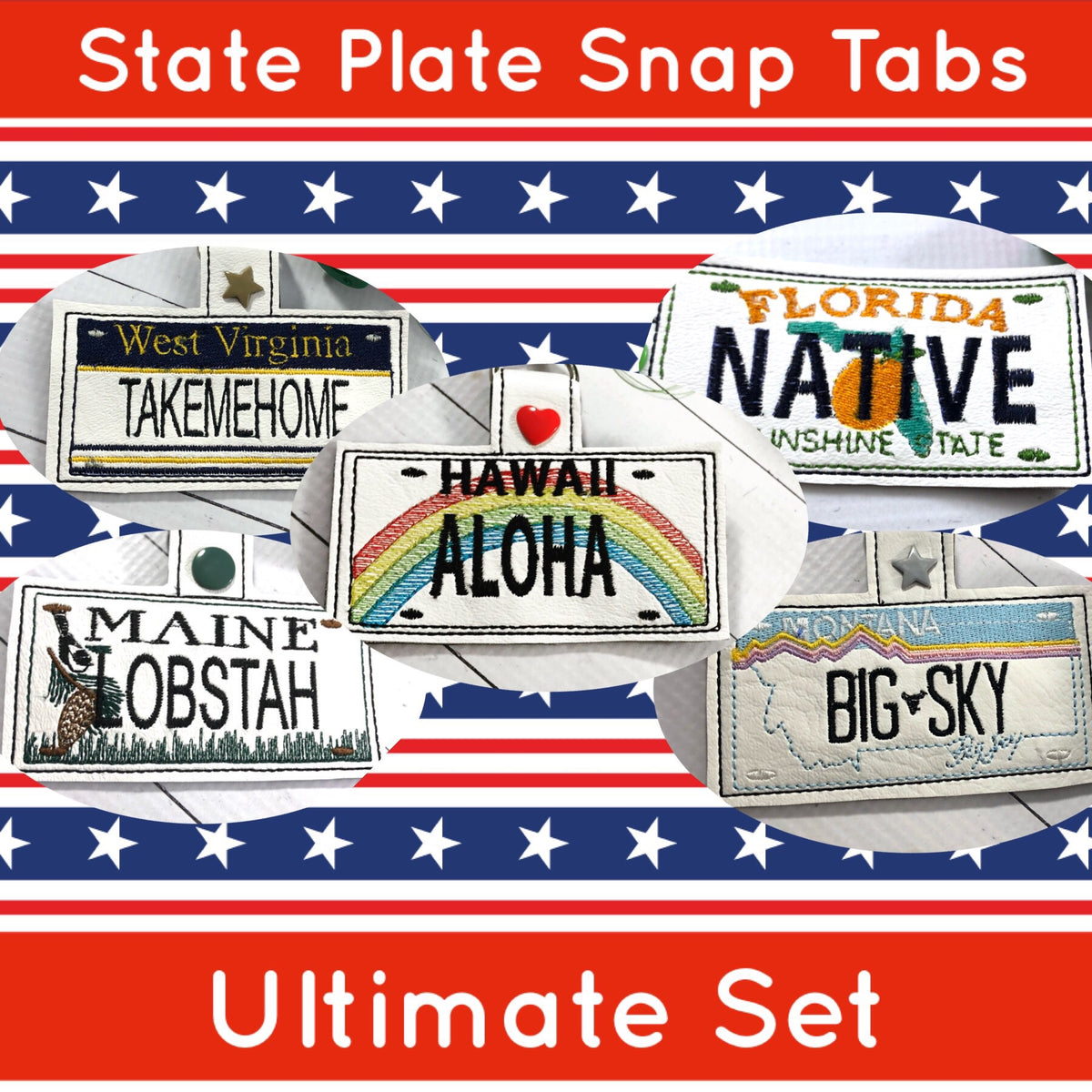 Complete Set US State Plate Embroidery Snap Tab Designs bundle ...